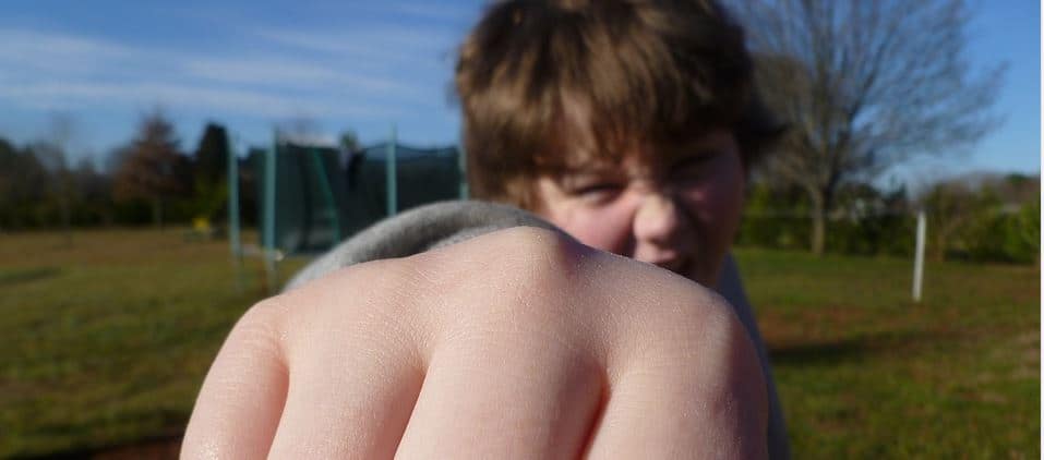 Teori-Teori Perilaku Agresi - Dotedu.id